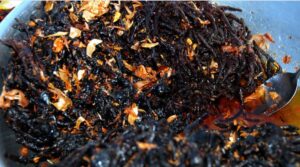 Beyond Taste Buds: 60 of the World’s Most Delicious Foods